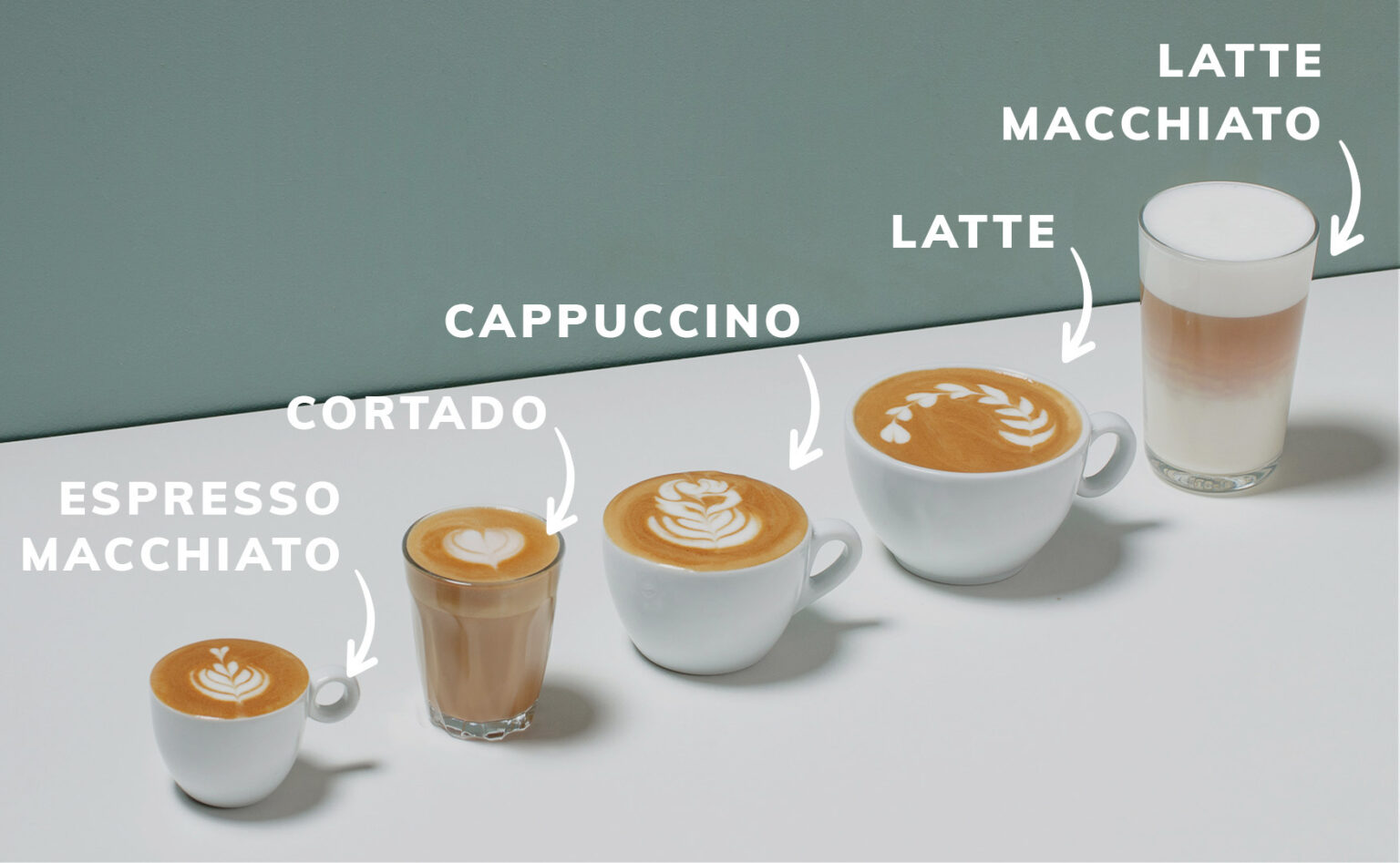 Quels sont les différents types de cafés ? - MaxiCoffee