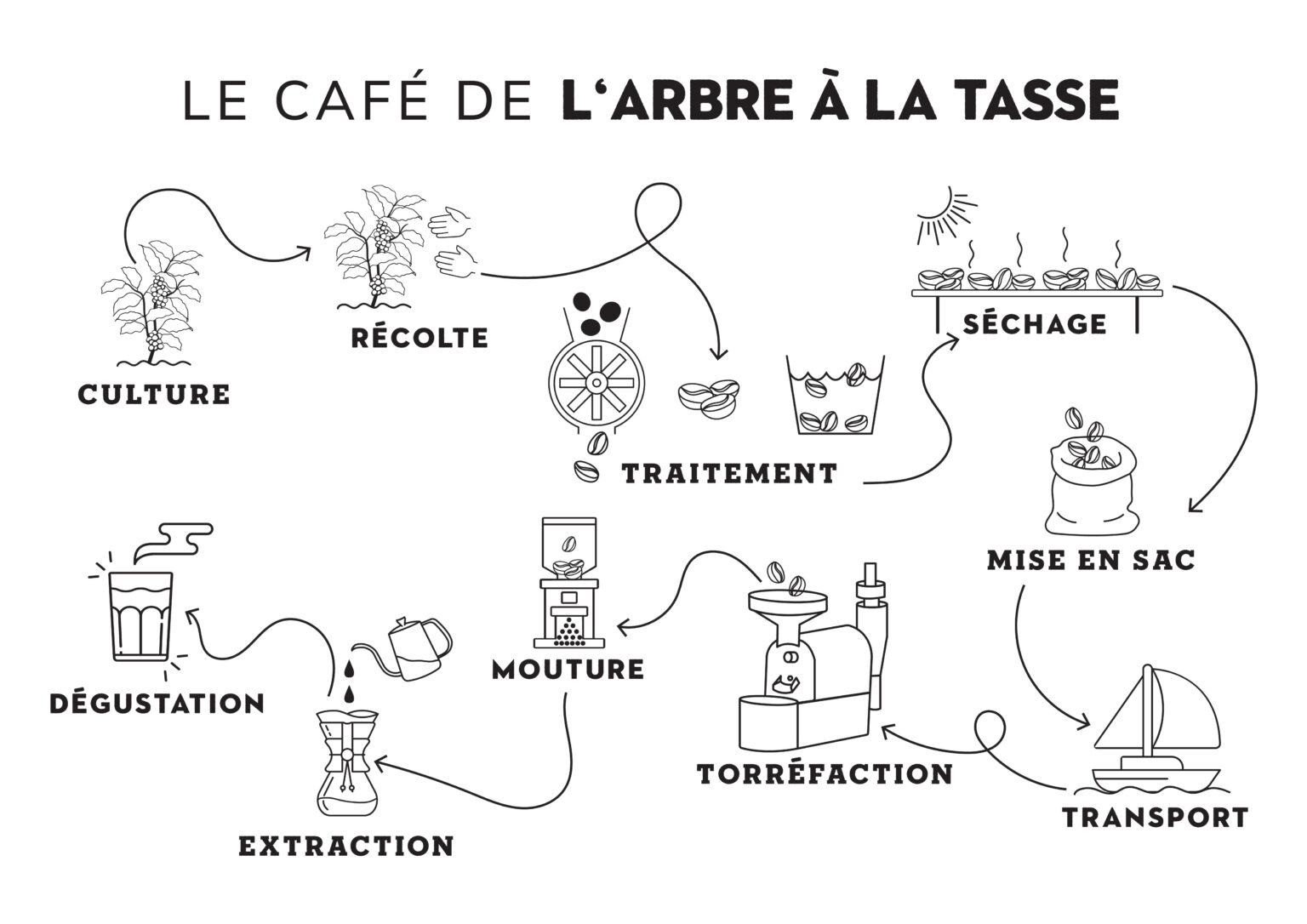 Où pousse le café ? La production et la culture du café