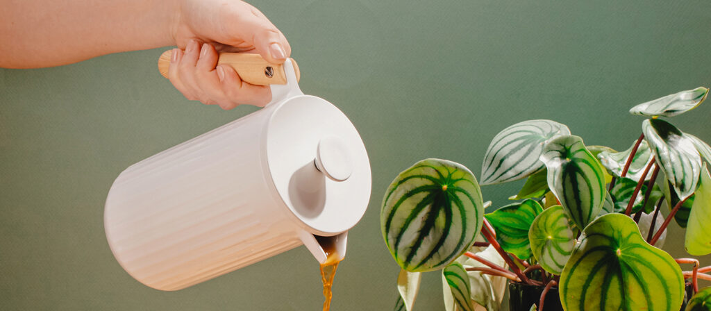 Cafetiere : Our guide for the perfect cup