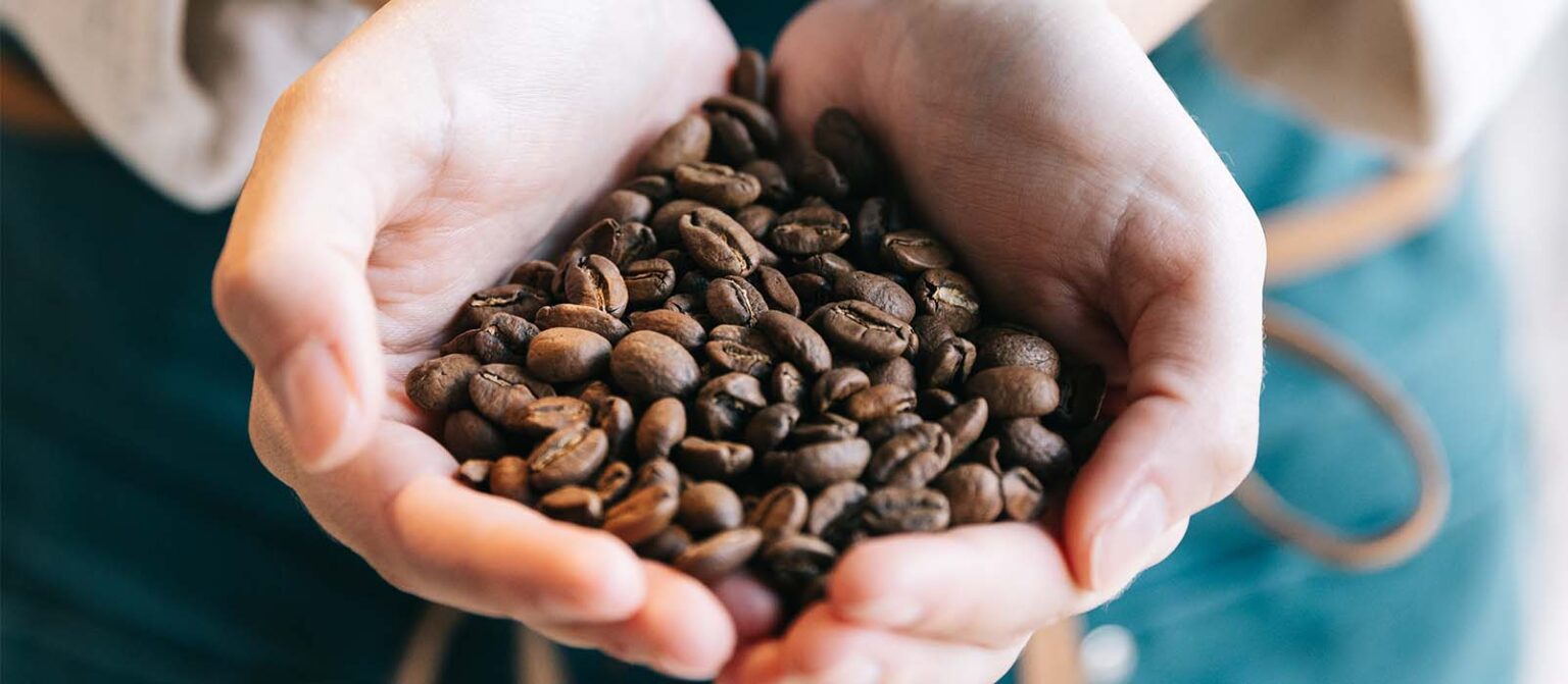 Café Certification : Un Label Gage de Qualité et Éthique